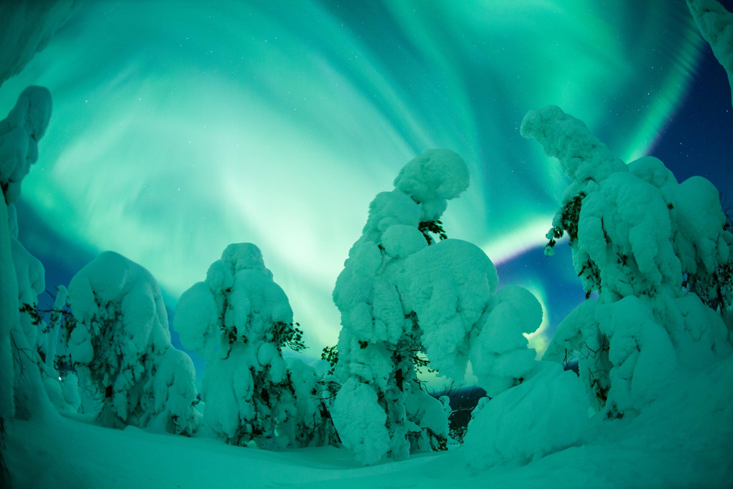 Syötteen talvi - Syöte