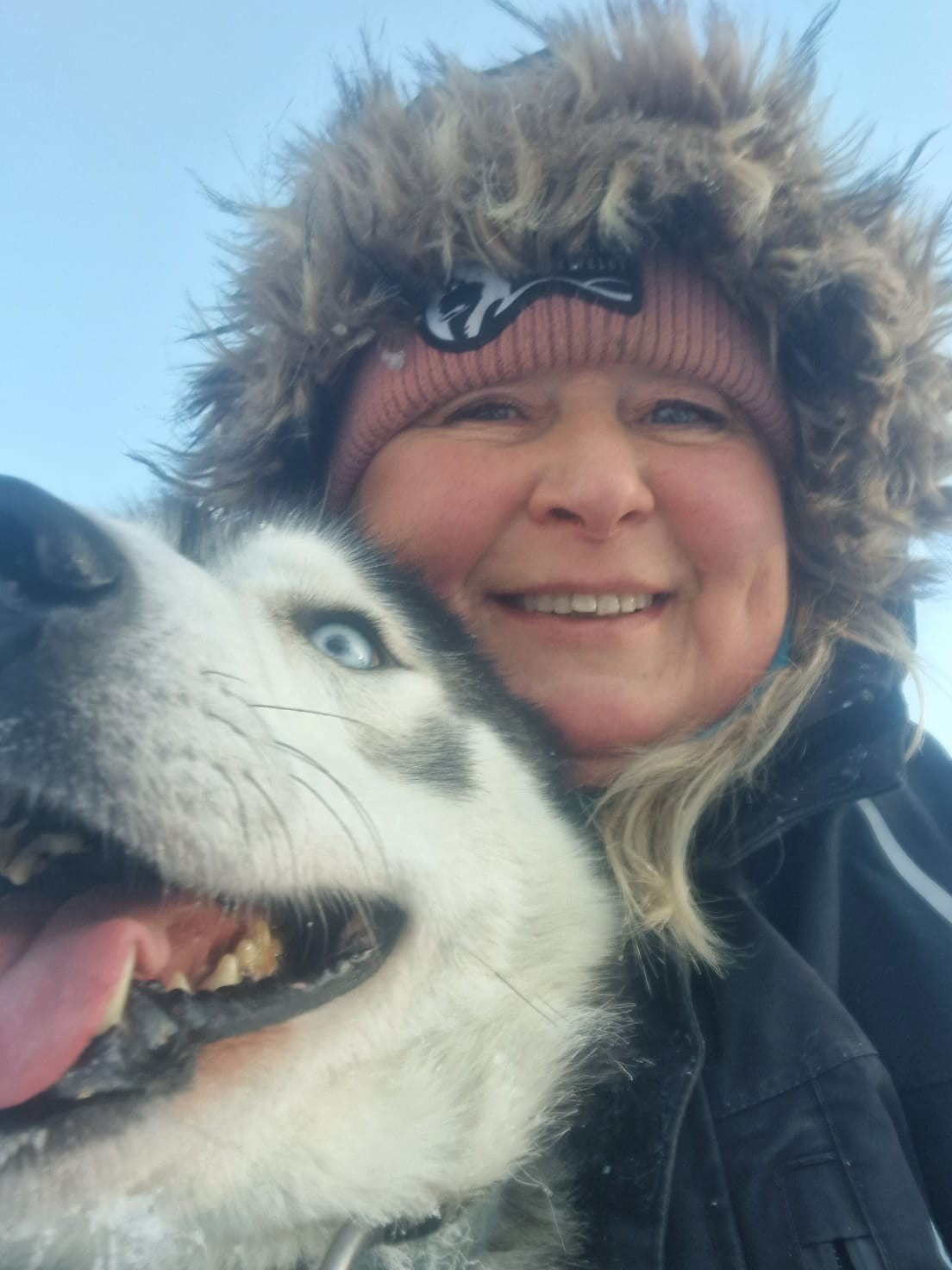 At the husky farm, people and animals are doing well - Syöte